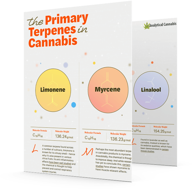 The Primary Terpenes in Cannabis